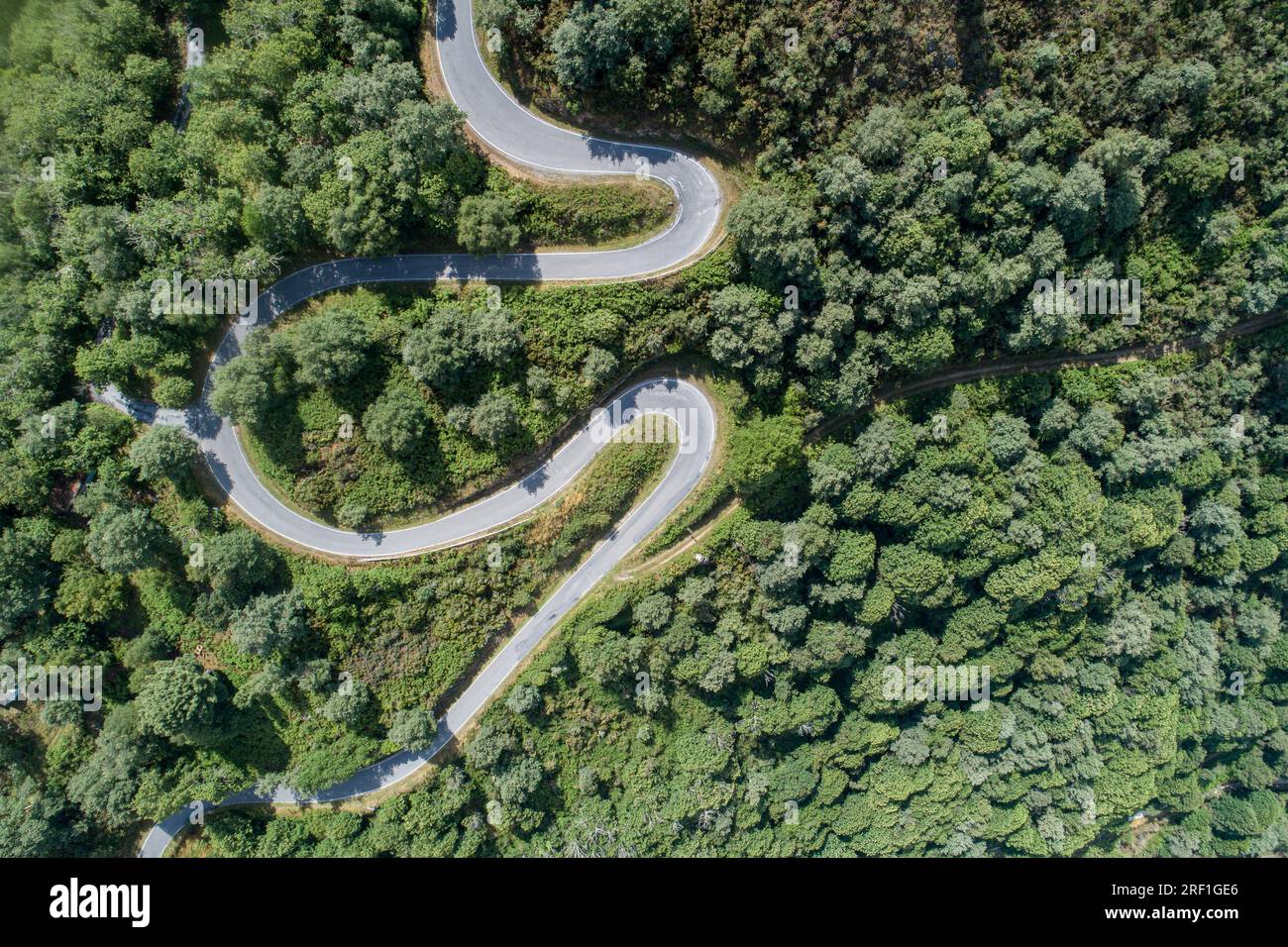 Top view of a mountain road with curves in a with oak forest Stock ...