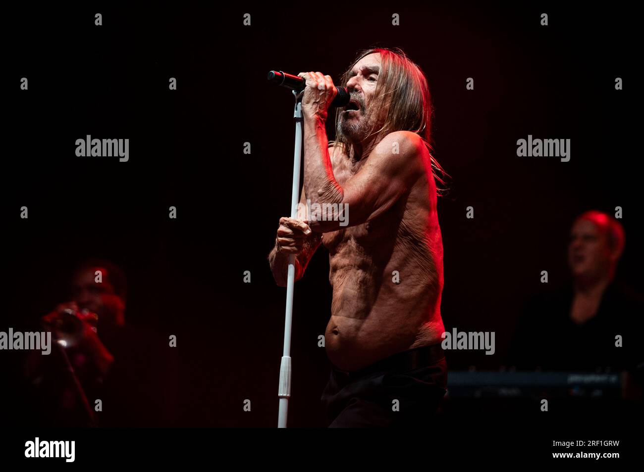 American singer and songwriter Iggy Pop performs during his concert on ...