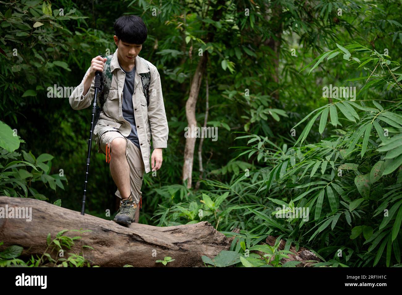 An active Asian male hiker with a backpack and trekking gear walking ...