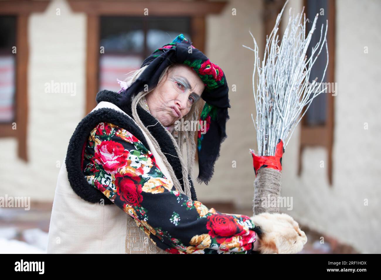 Baba Yaga. Fairy tale character evil grandmother from Russian fairy ...