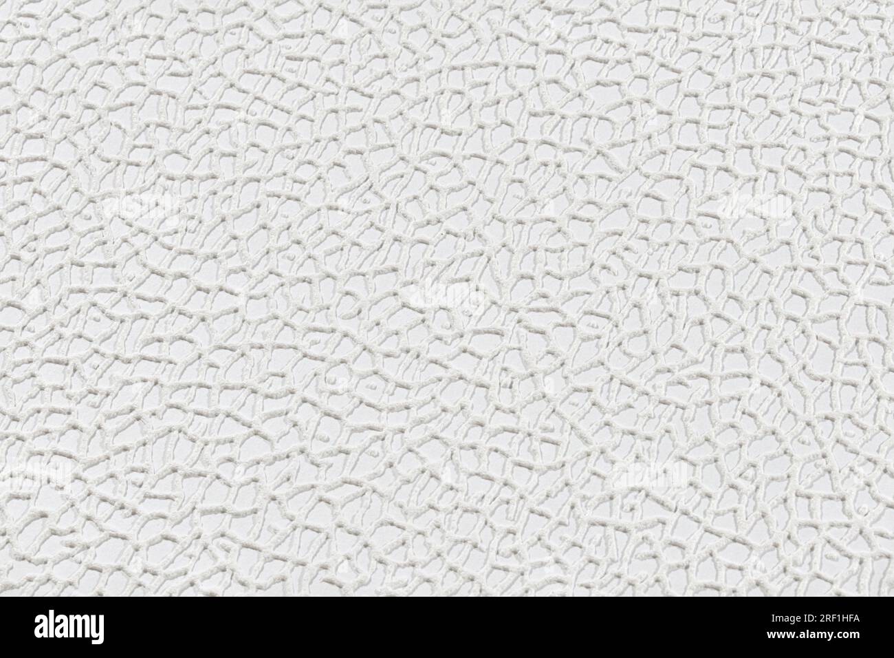 White paper wallpaper texture with abstract raised cells close up ...