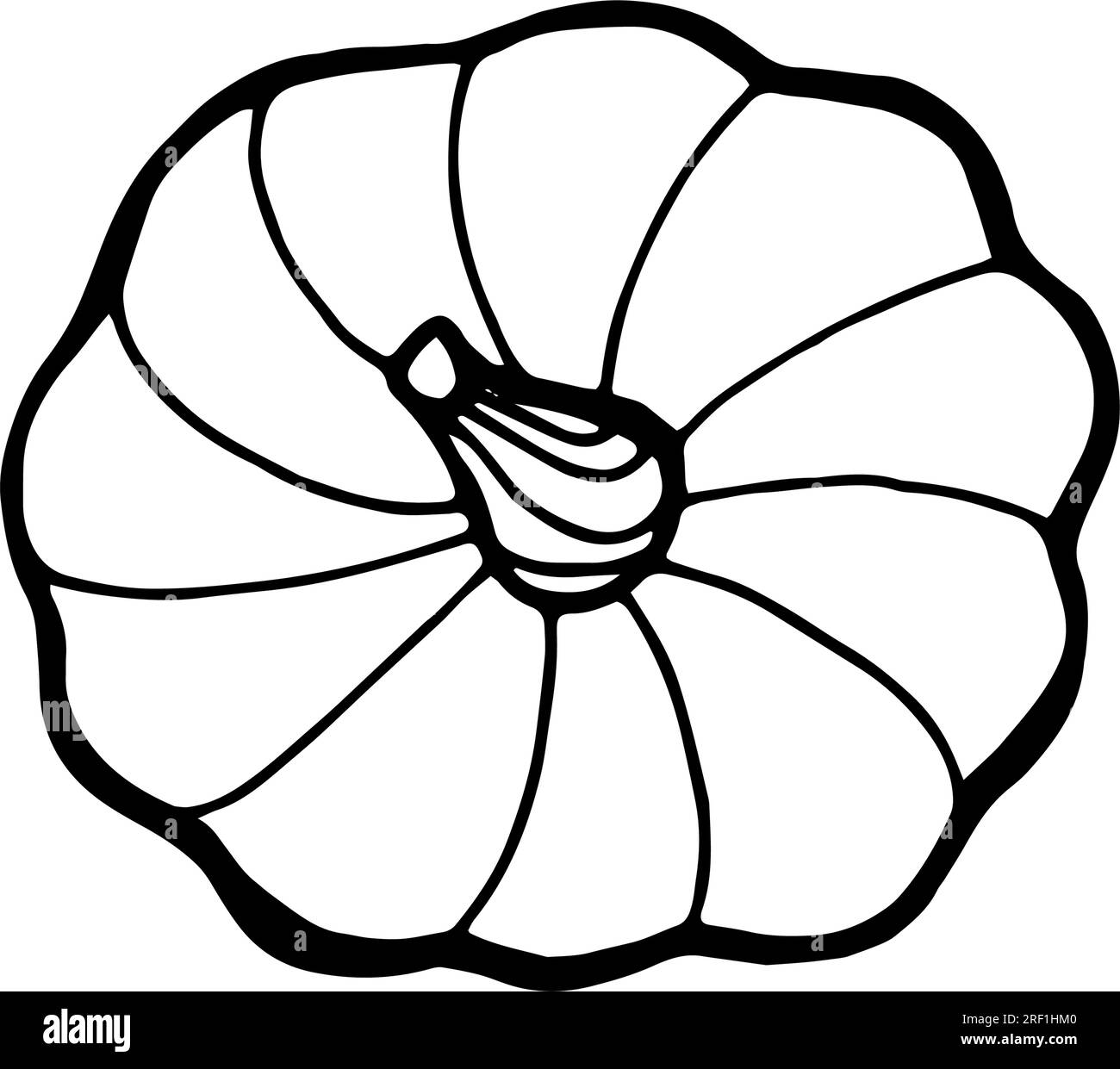 Hand drawn pumpkin sketch. Ripe squash isolated on white background ...