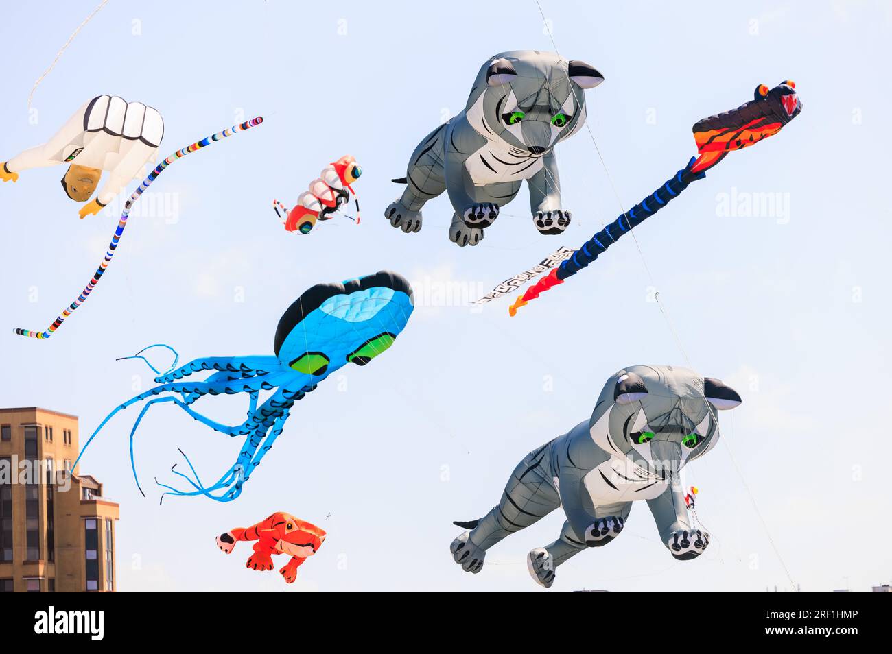 A collection of hundreds of stunning 3D kites graced the skyline of ...