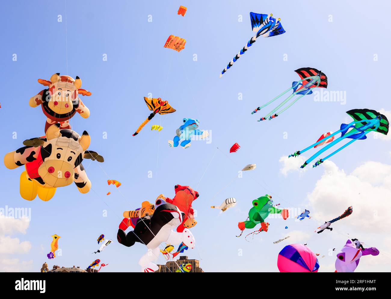 A collection of hundreds of stunning 3D kites graced the skyline of ...