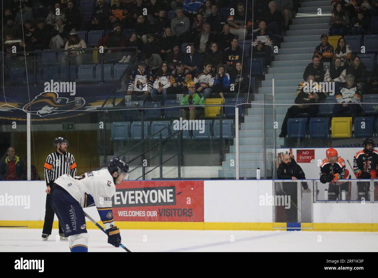 Local ice hockey game Stock Photo - Alamy