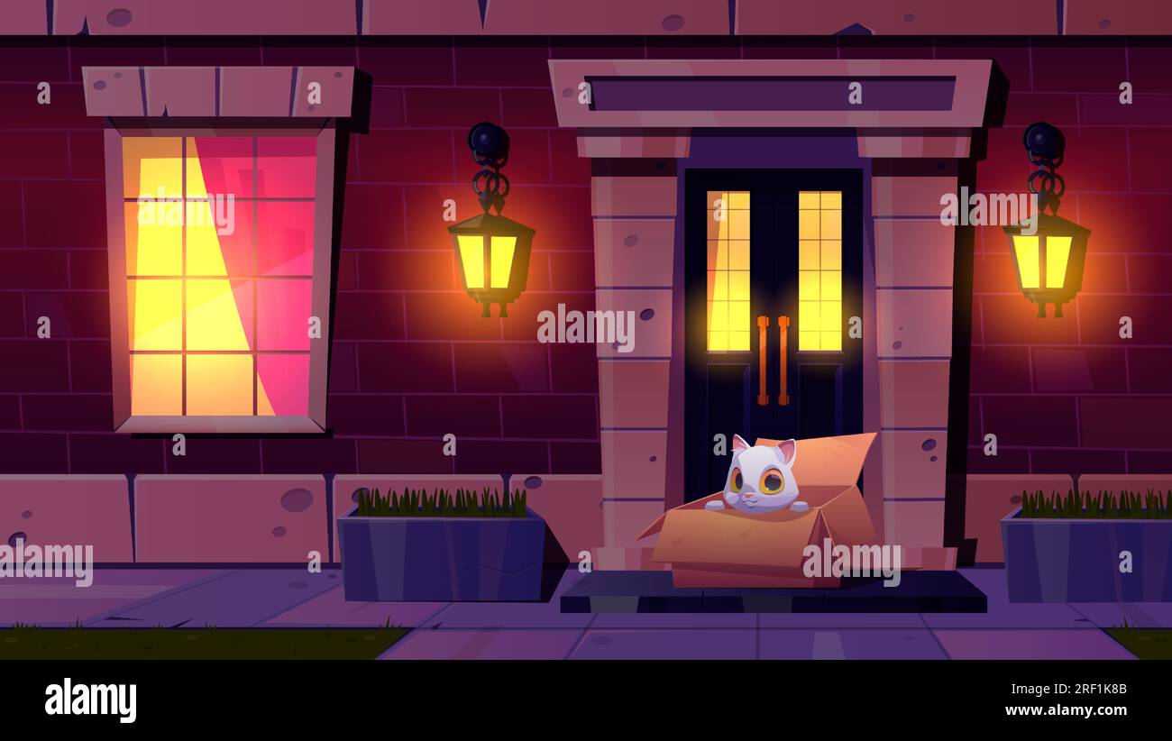 Homeless cat sitting in cardboard box on house porch at night. Vector ...
