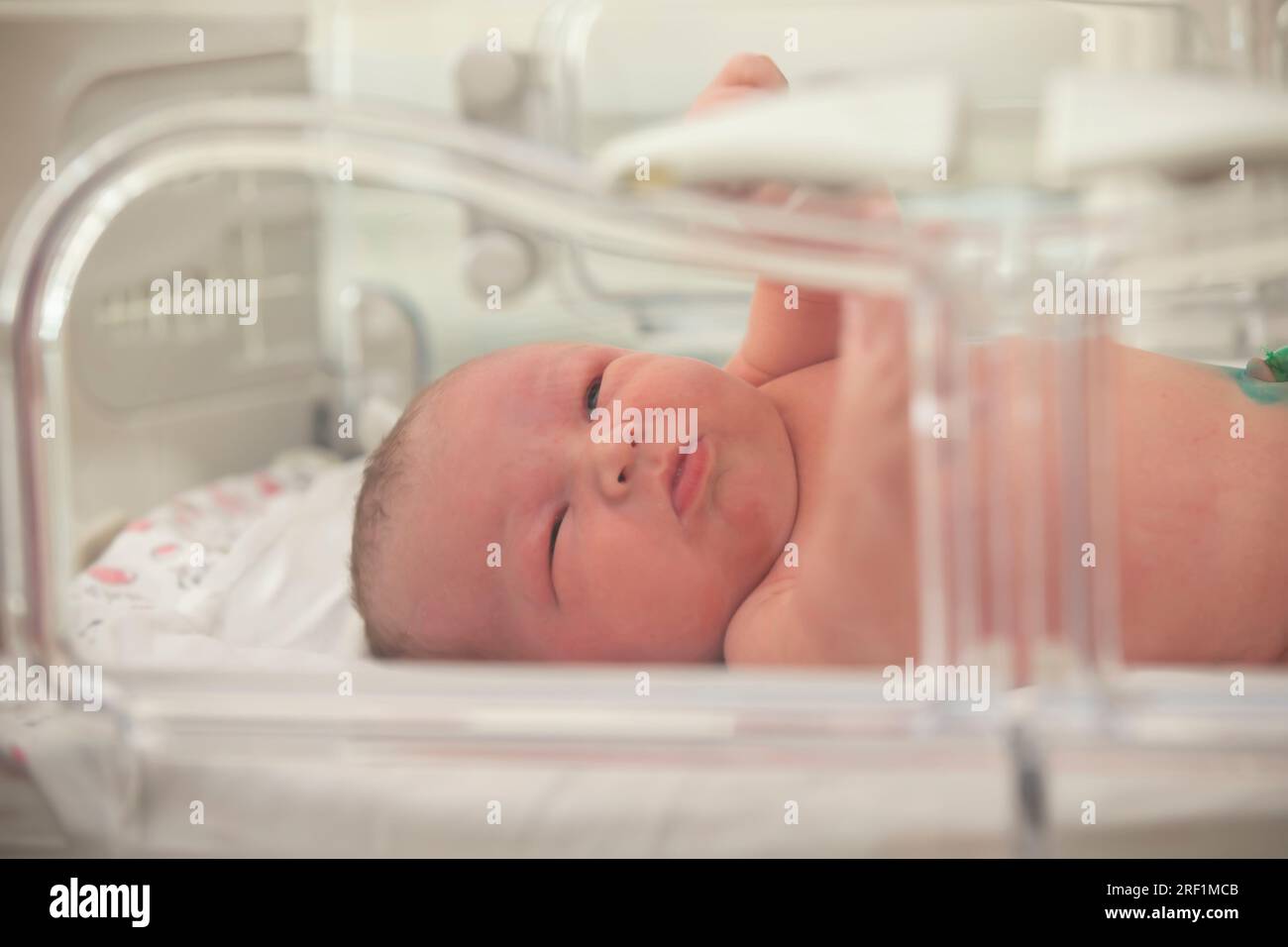 Newborn premature baby in NICU intensive care unit Stock Photo - Alamy