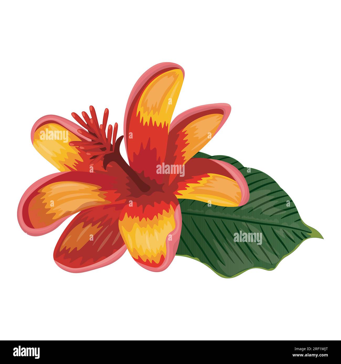 Flower garden yellow red Stock Vector Images - Alamy