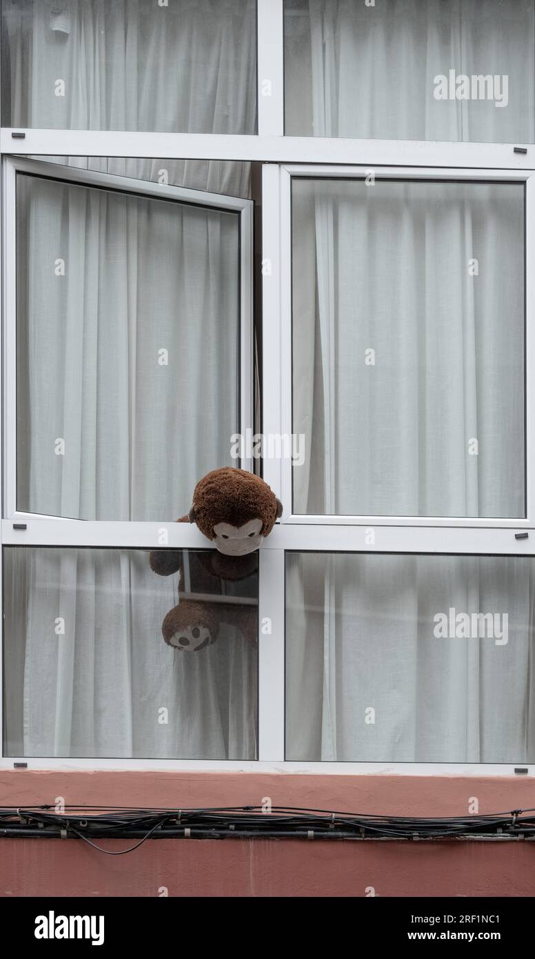 Bear teddy window hi-res stock photography and images - Alamy