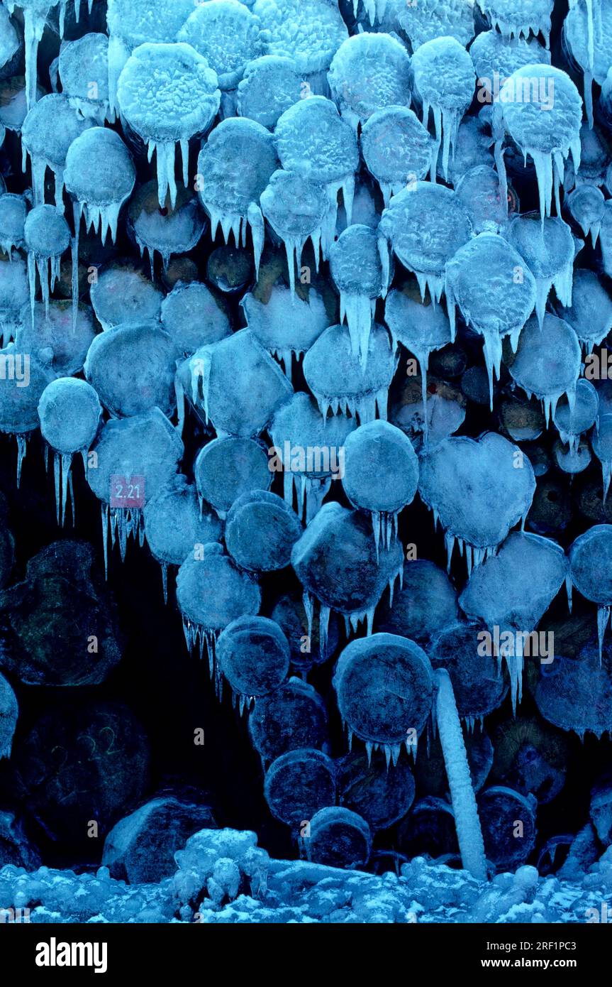Wet wood storage area hi-res stock photography and images - Alamy