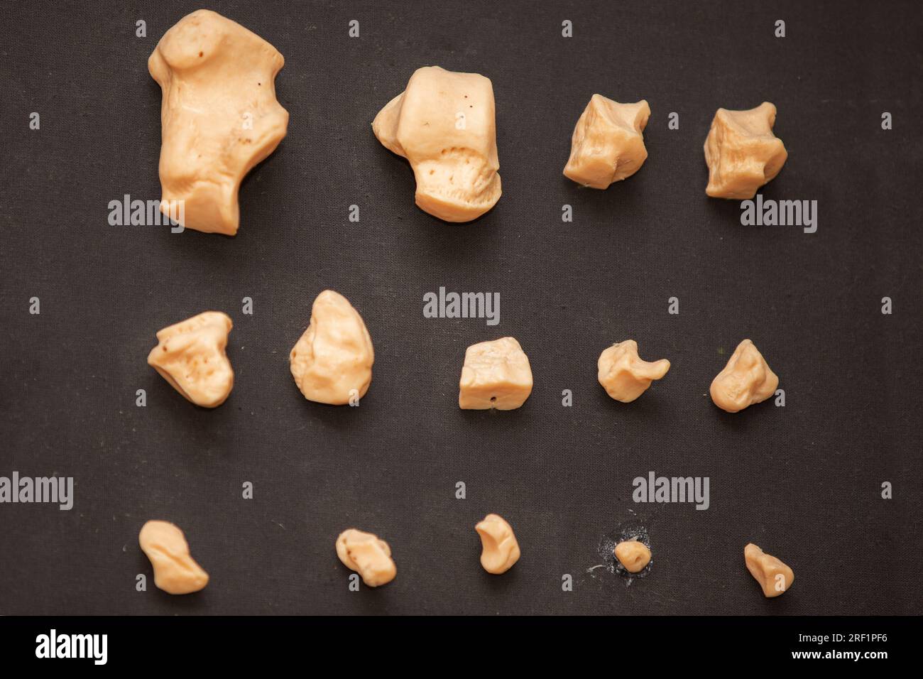 Bones of the human skeleton close-up on a black background as a ...