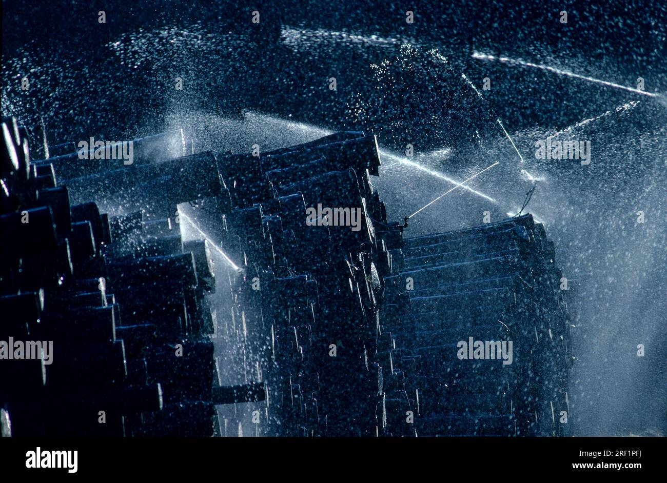 Wet wood storage area hi-res stock photography and images - Alamy