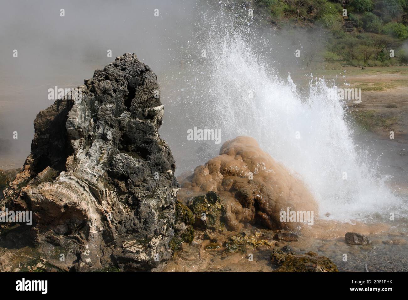 Hot Springs and Geysers at Lake Bogoria in Kenya Stock Photo - Alamy