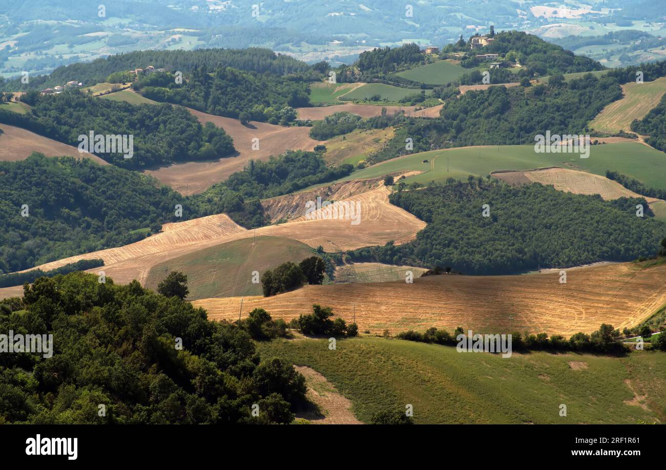 Alberi e colline del Montefeltro Stock Photo - Alamy