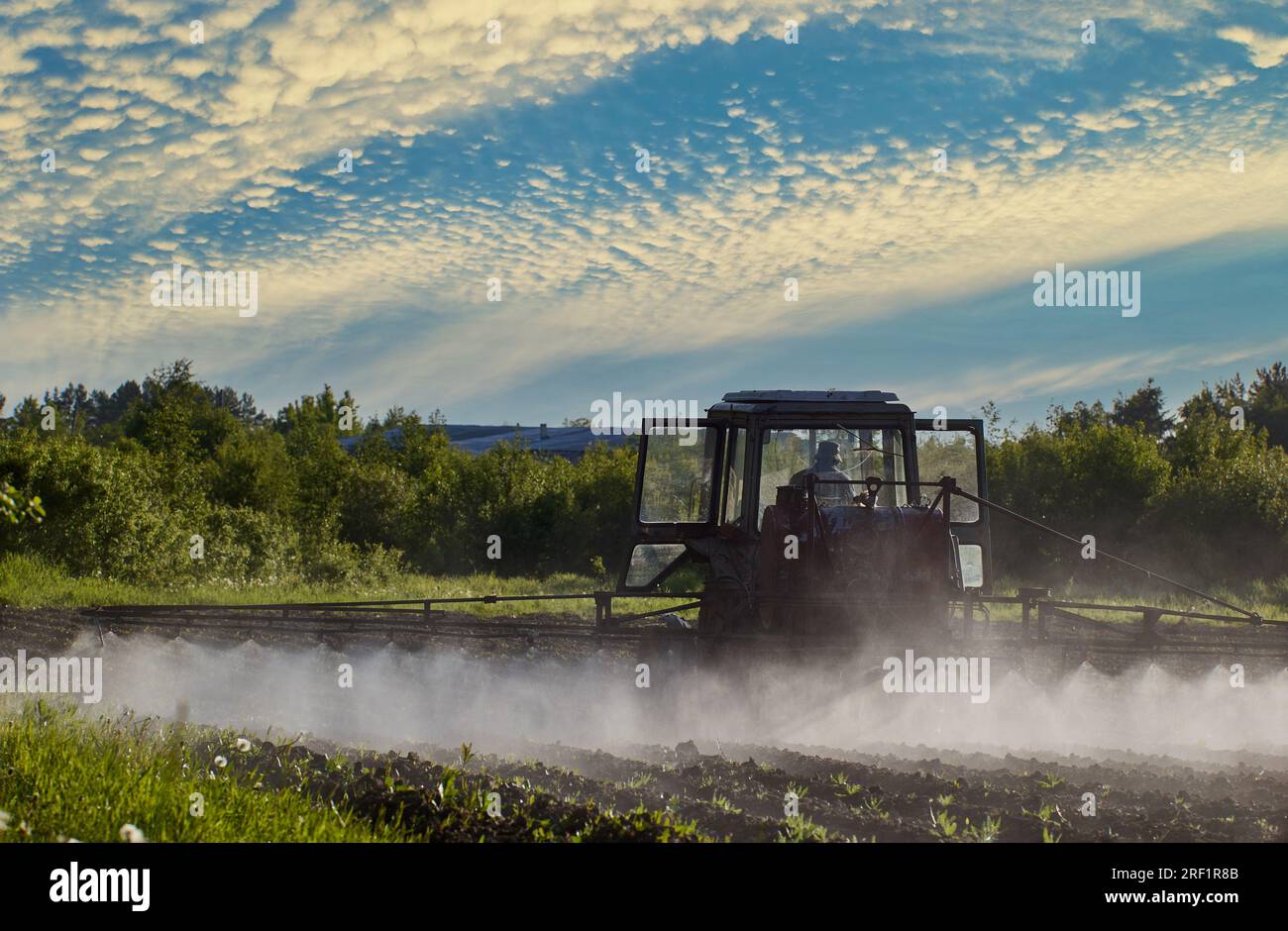 Spraying crops with herbicides using sprayer mounted on wheeled tractor ...