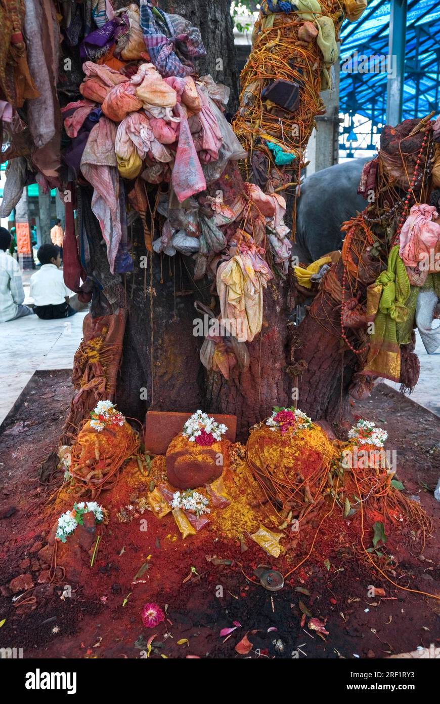 Cloth tied on tree hi-res stock photography and images - Alamy