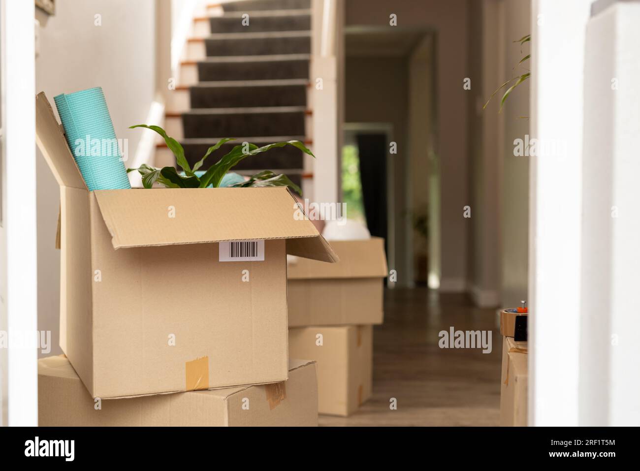 Floor hall hi-res stock photography and images - Alamy