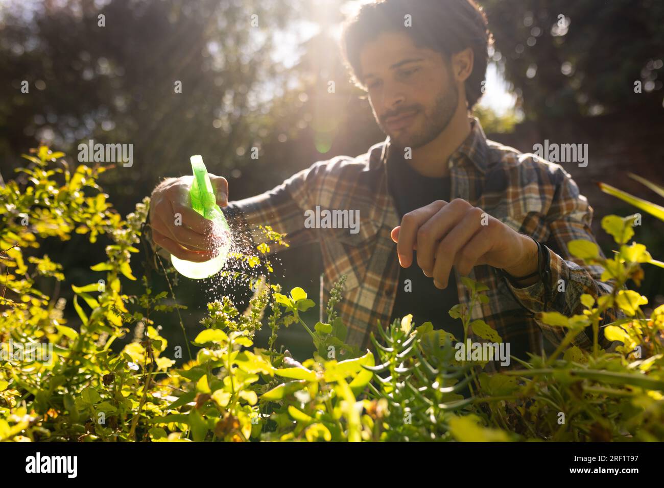 Happy indian man watering plants in sunny garden Stock Photo - Alamy