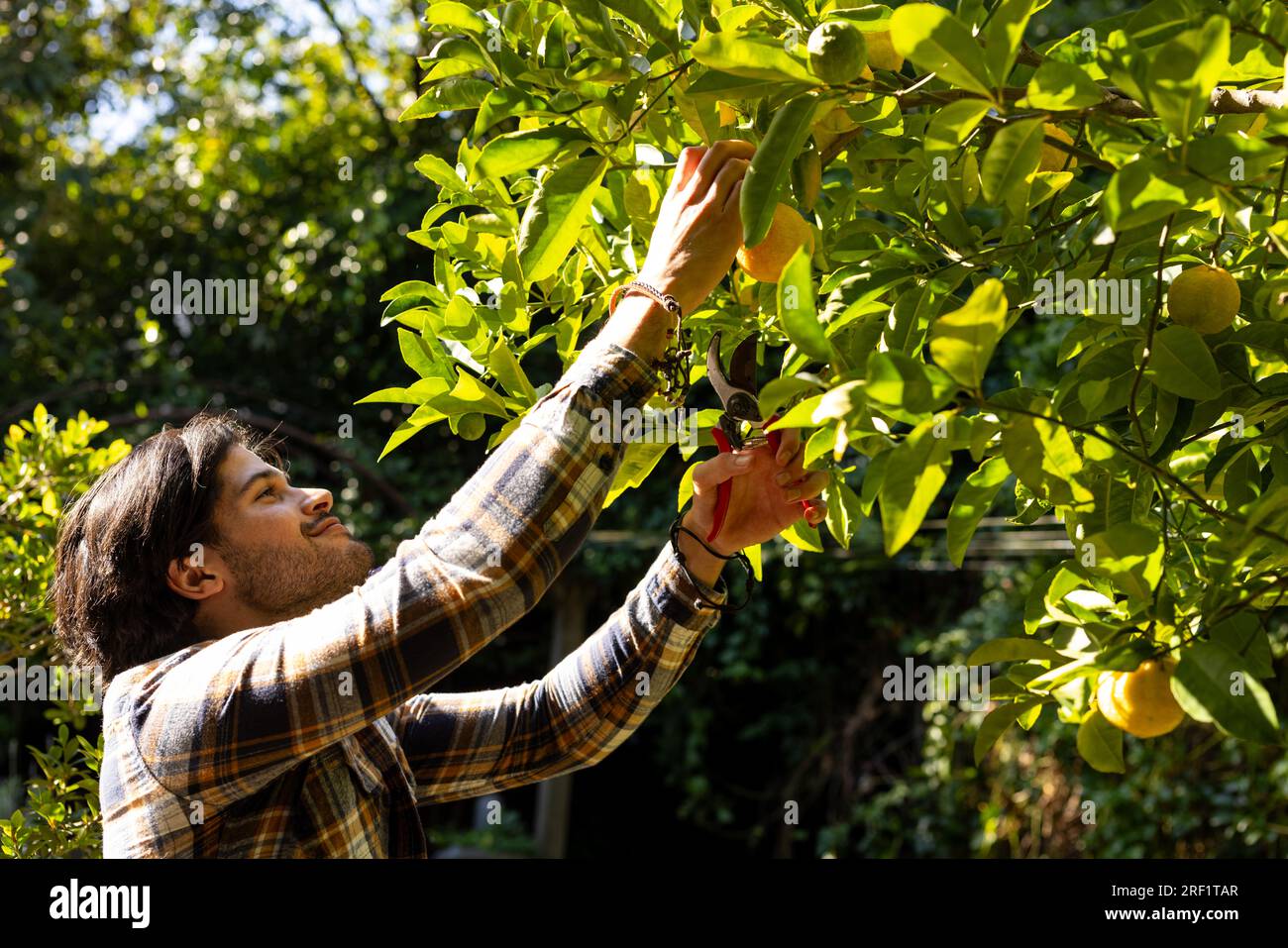 Happy man tree hi-res stock photography and images - Alamy