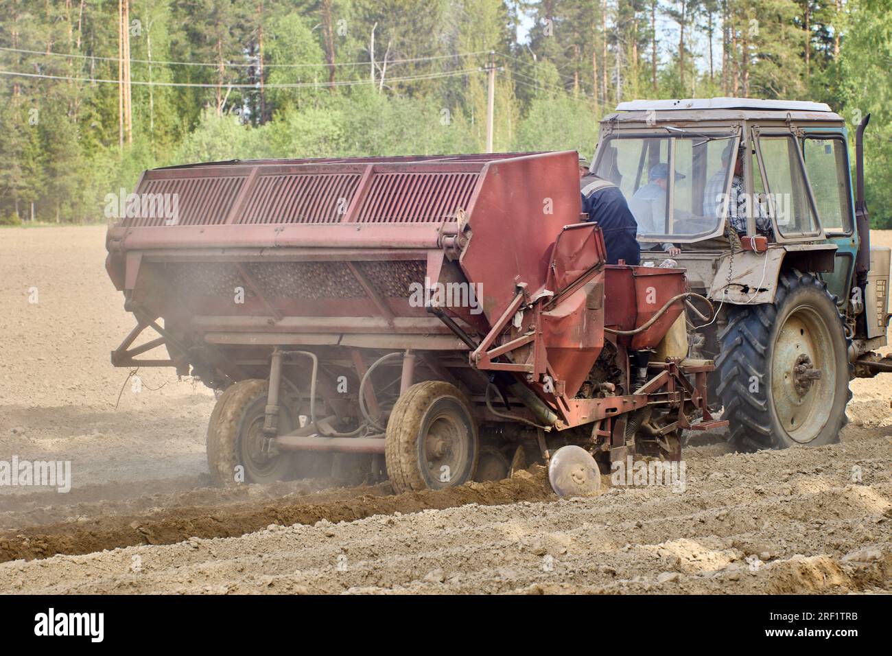 Potato planter is hitched to an agricultural wheeled tractor during ...