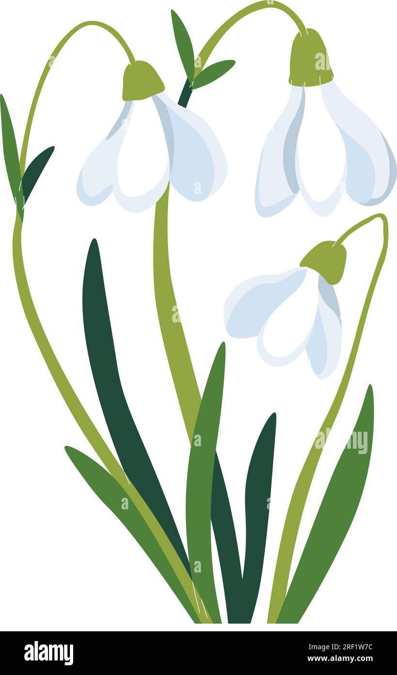 Flourishing and bud drawing of hi-res stock photography and images - Alamy