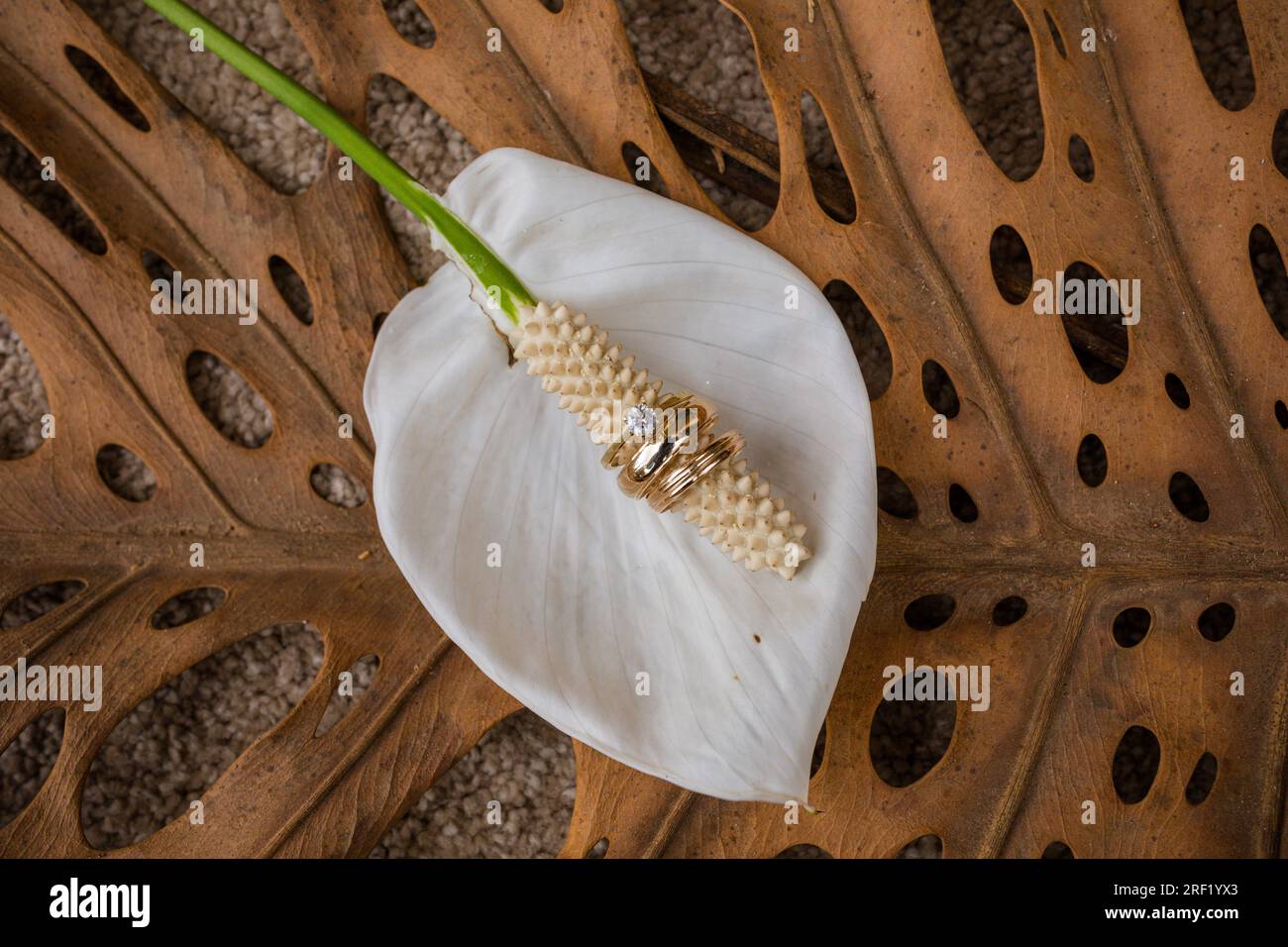 Black diamond engagement rings hi-res stock photography and images - Alamy