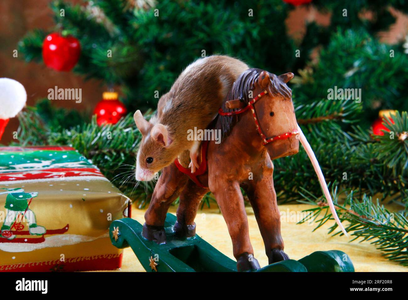 Colour Mouse on Rocking Horse Stock Photo - Alamy Colour Mouse on Rocking Horse Stock Photo - Alamy