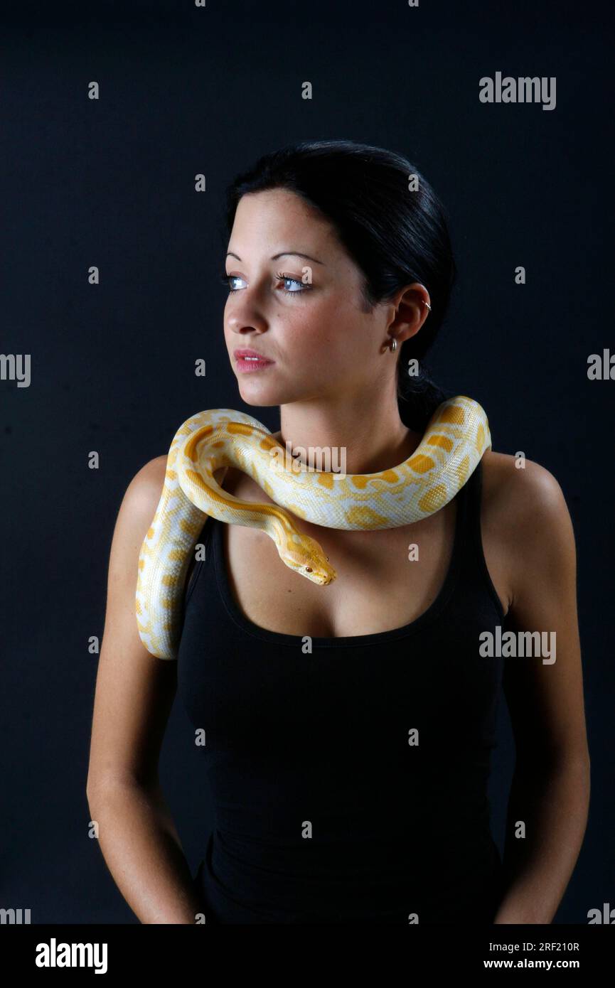 Woman with Indian Python (Python molurus), albino Stock Photo - Alamy