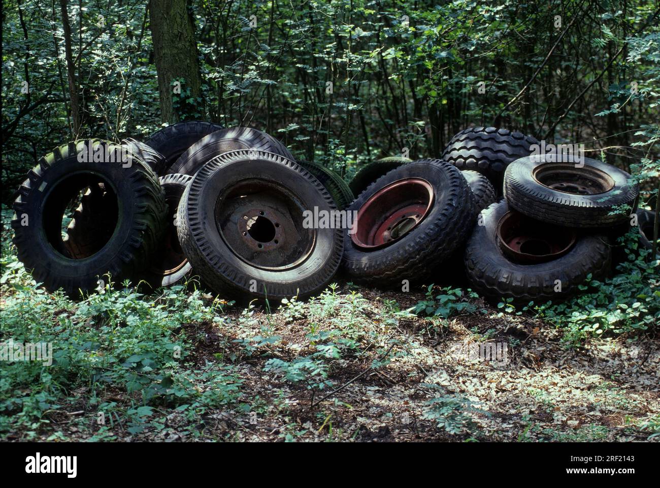Environmental pollution, storage of used tyres in the forest Stock ...