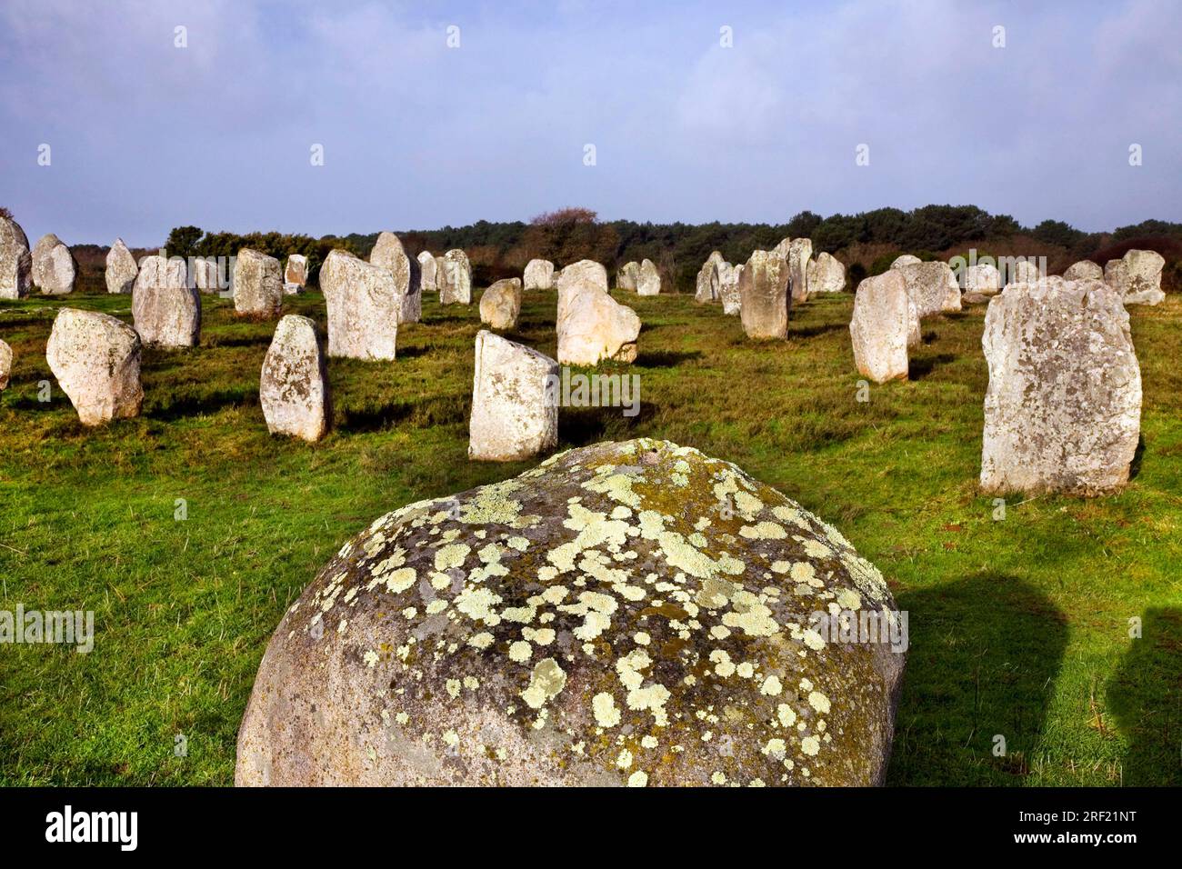 Megaliths in rows, Carnac, Morbihan, Brittany, Karnag, Menhir, Menhirs ...