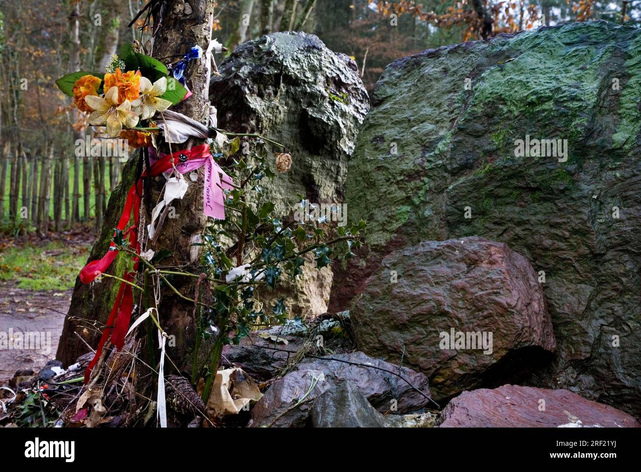 Flowers at the Tomb of Merlin, Menhir, Paimpont Forest, Ille-et-Vilaine ...