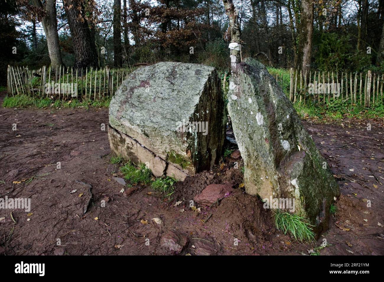 Tomb of Merlin, menhir, Paimpont Forest, Ille-et-Vilaine, Broceliande ...