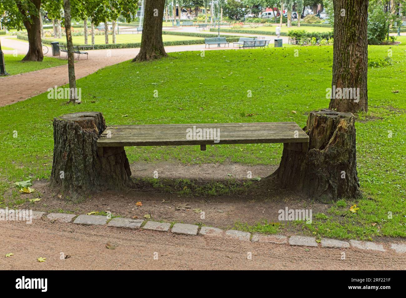 Park bench between two tree trunks in summer park Stock Photo - Alamy