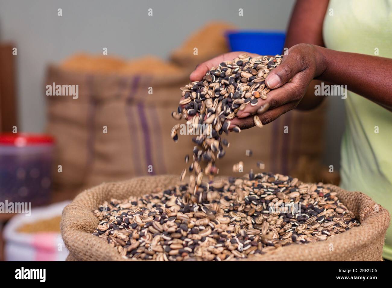Whole Grains Cereals Beans display details market in Kenya Grains dried ...