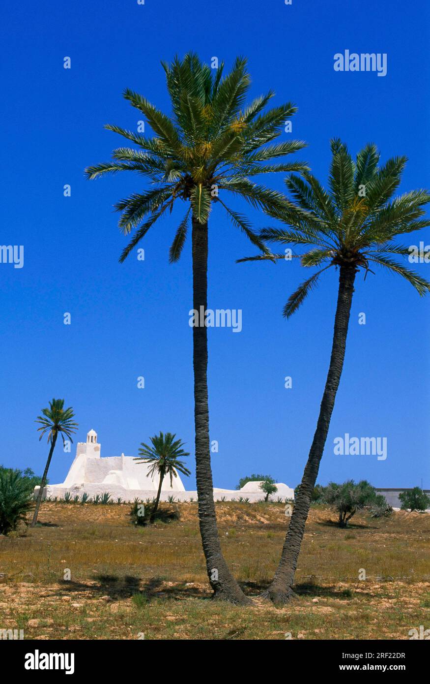 Mosque on djerba hi-res stock photography and images - Alamy