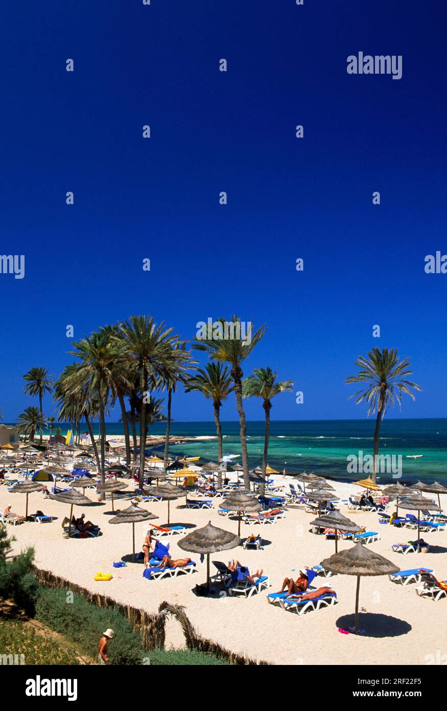 Beach in the oasis of Zarzis, Djerba Island, Tunisia Stock Photo - Alamy