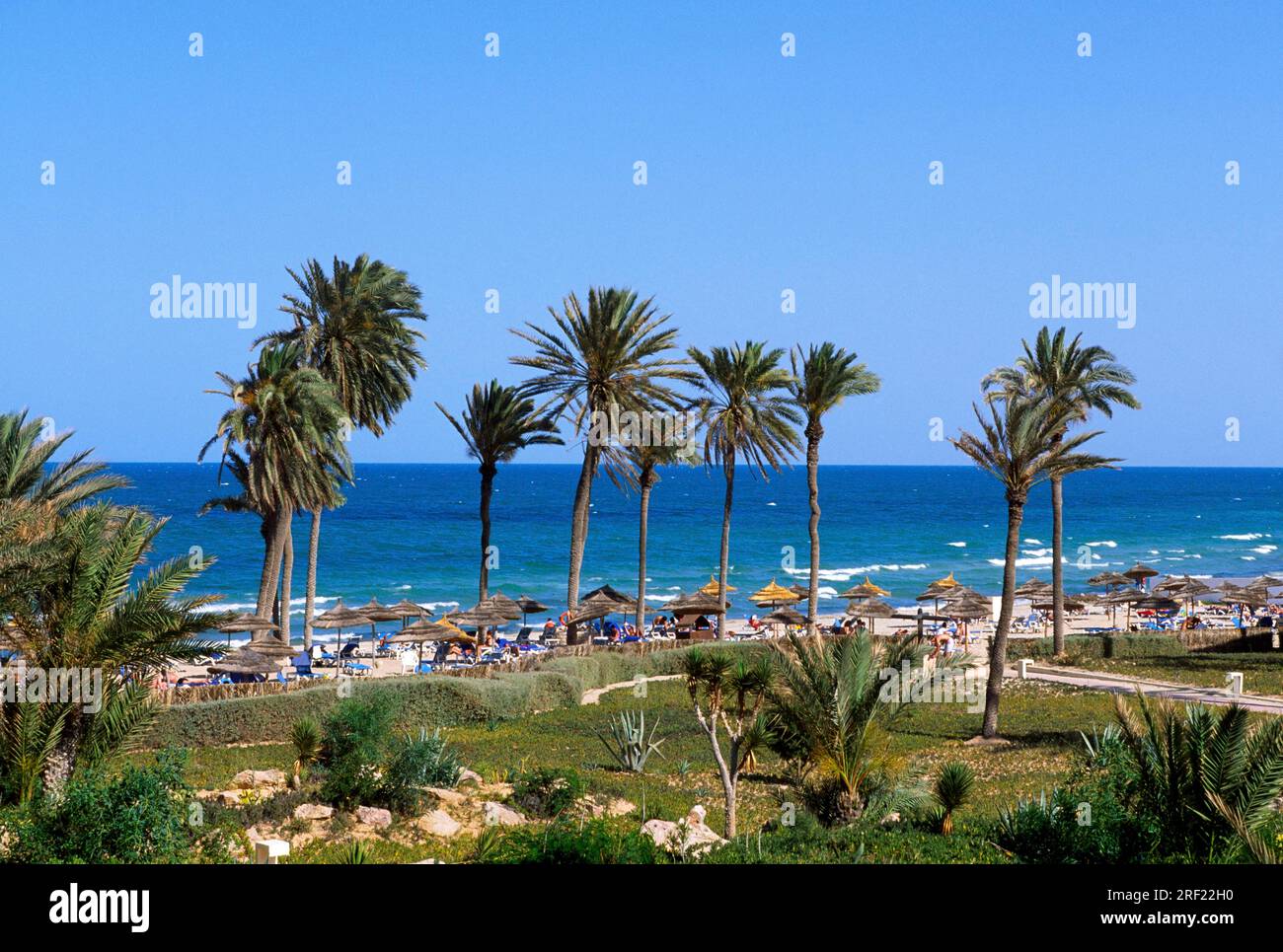 Beach in the oasis of Zarzis, Djerba Island, Tunisia Stock Photo - Alamy