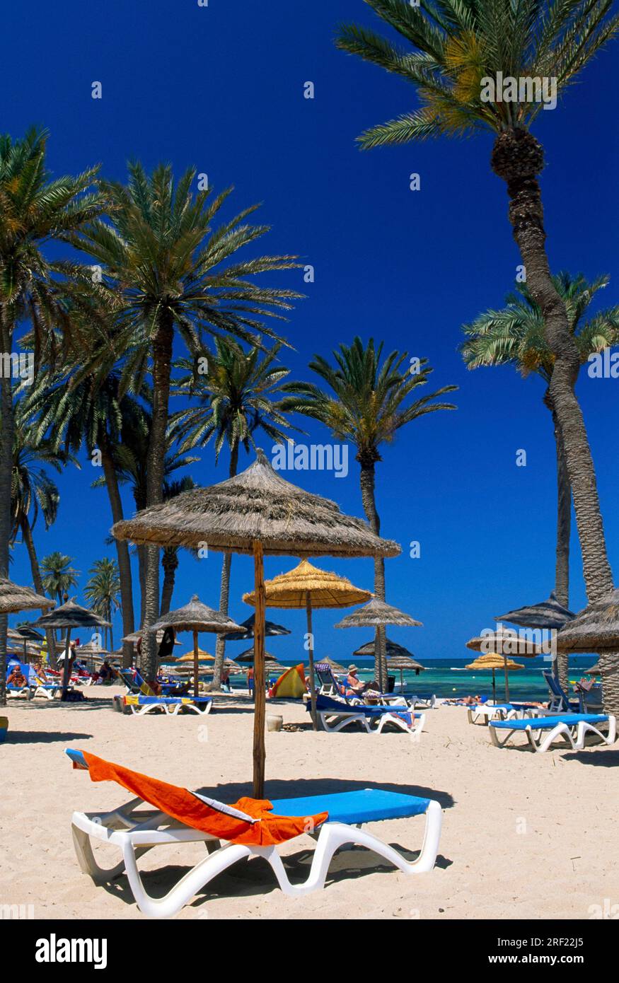 Beach in the oasis of Zarzis, Djerba Island, Tunisia Stock Photo - Alamy