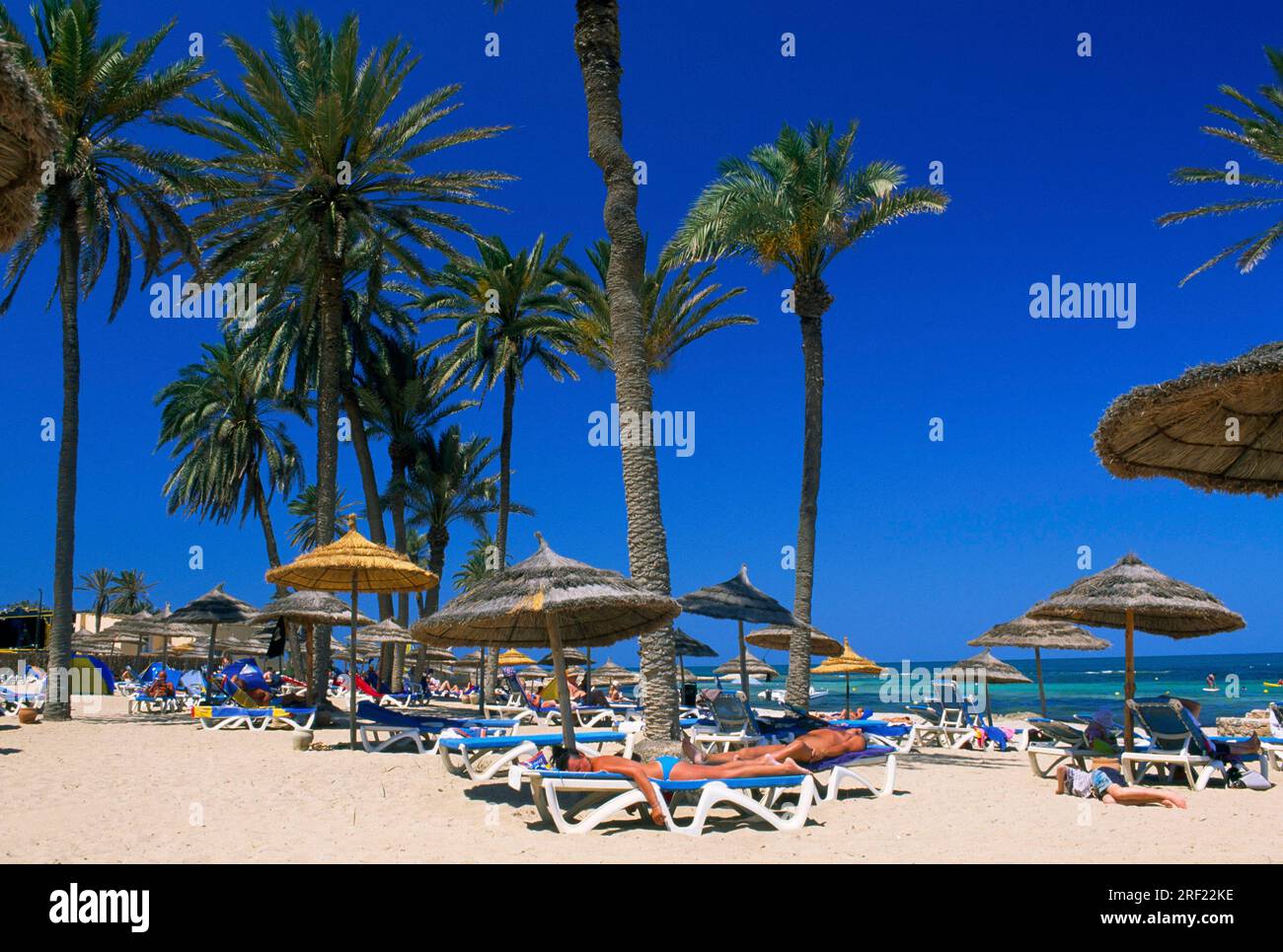 Beach in the oasis of Zarzis, Djerba Island, Tunisia Stock Photo - Alamy