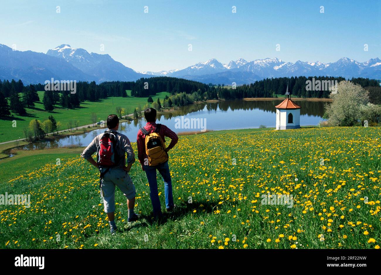 Hegratsrieder See, Ostallgaeu, Allgaeu, Bavaria, Germany Stock Photo ...