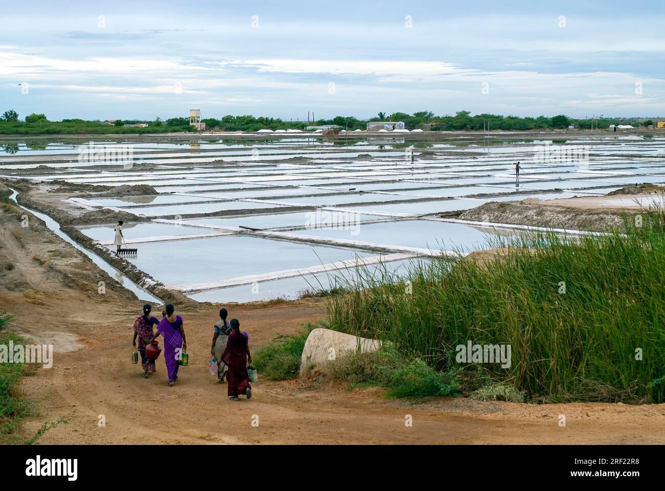Salt pan in Thoothukudi Tuticorin, Tamil Nadu, South India, India, Asia ...