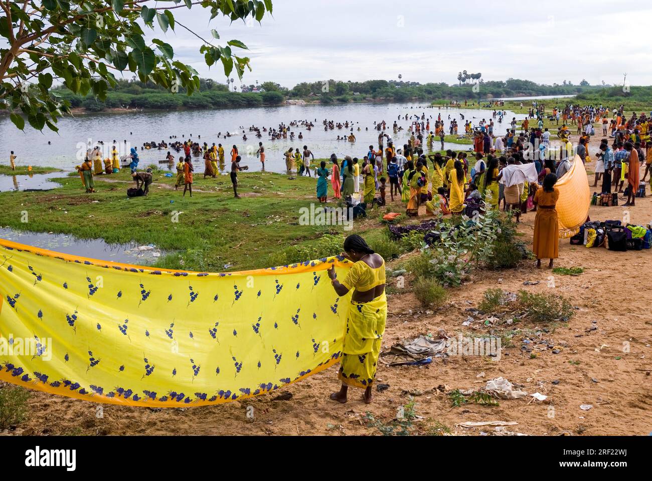 Pilgrims after bathing in river Thamirabarani and drying their saris ...