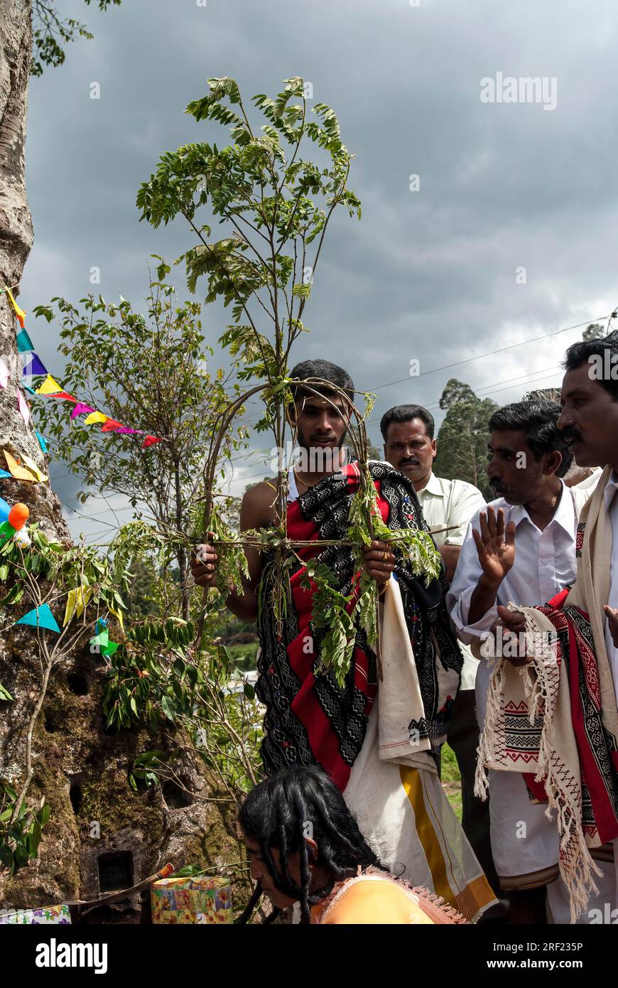 Indigenous people india forest hi-res stock photography and images - Alamy
