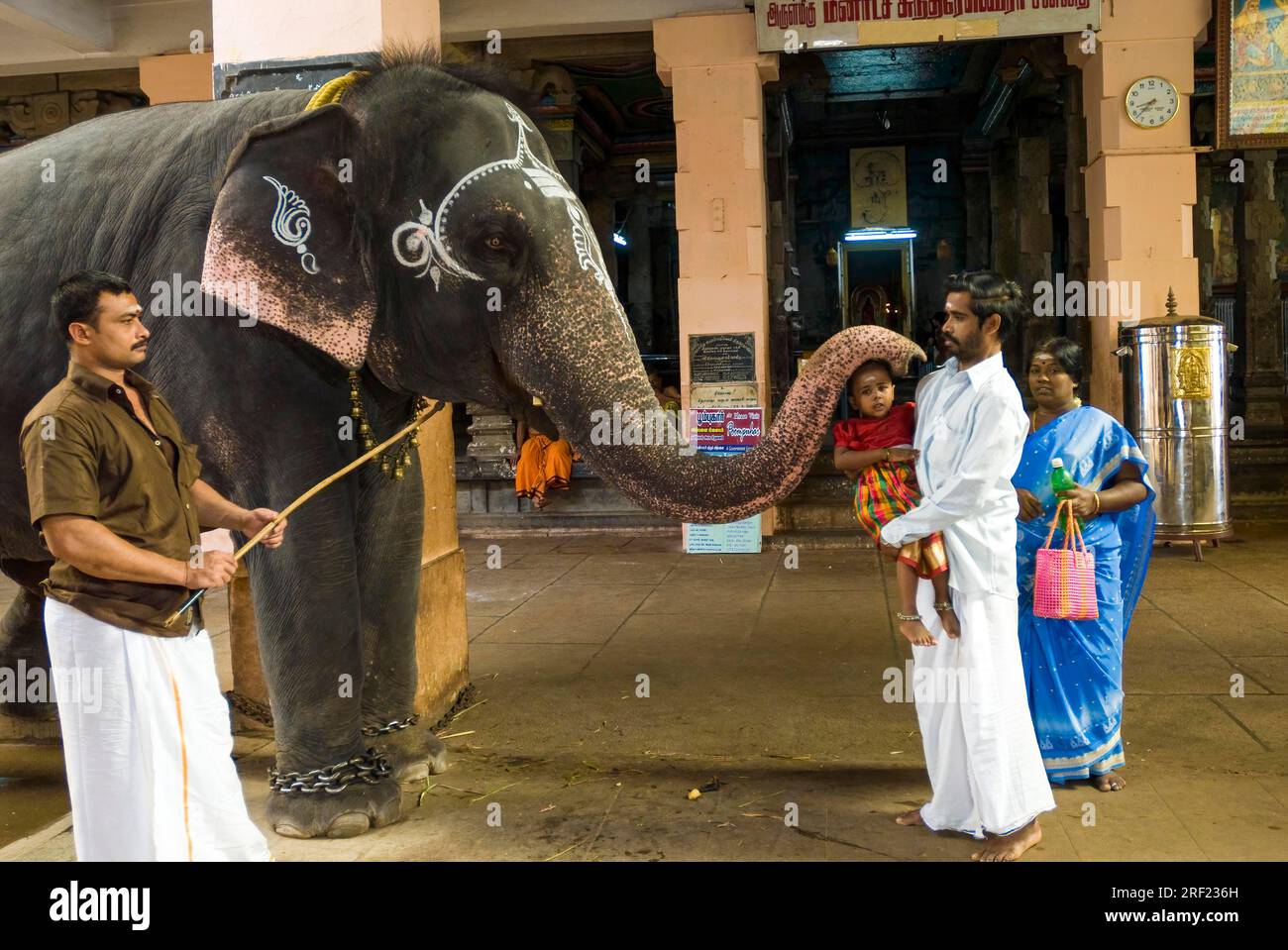 Devotees receiving blessings from temple elephant, Swaminatha Swamy God ...