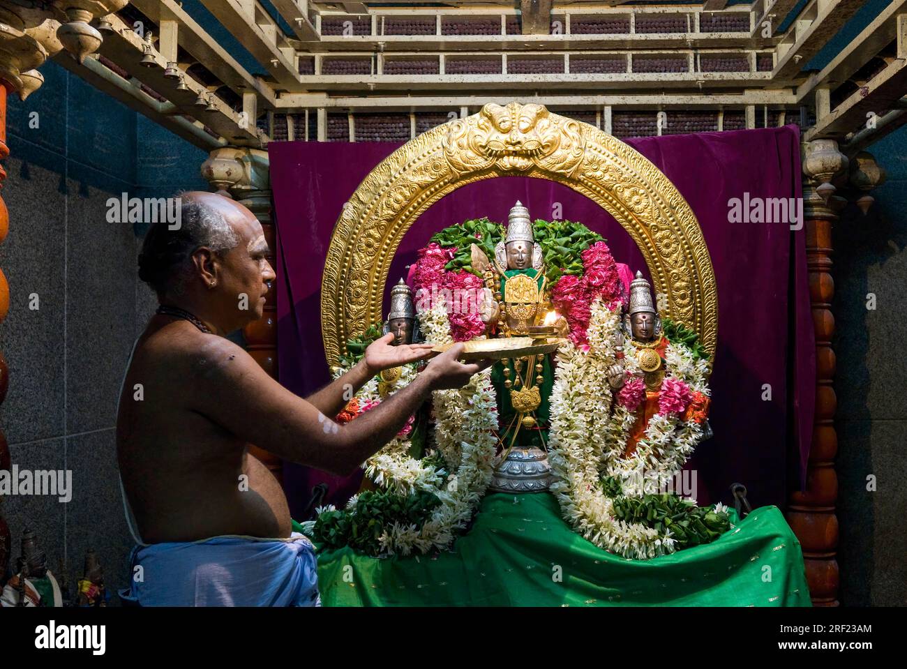 Deity shanmugar valli deivanai devasena hi-res stock photography and ...