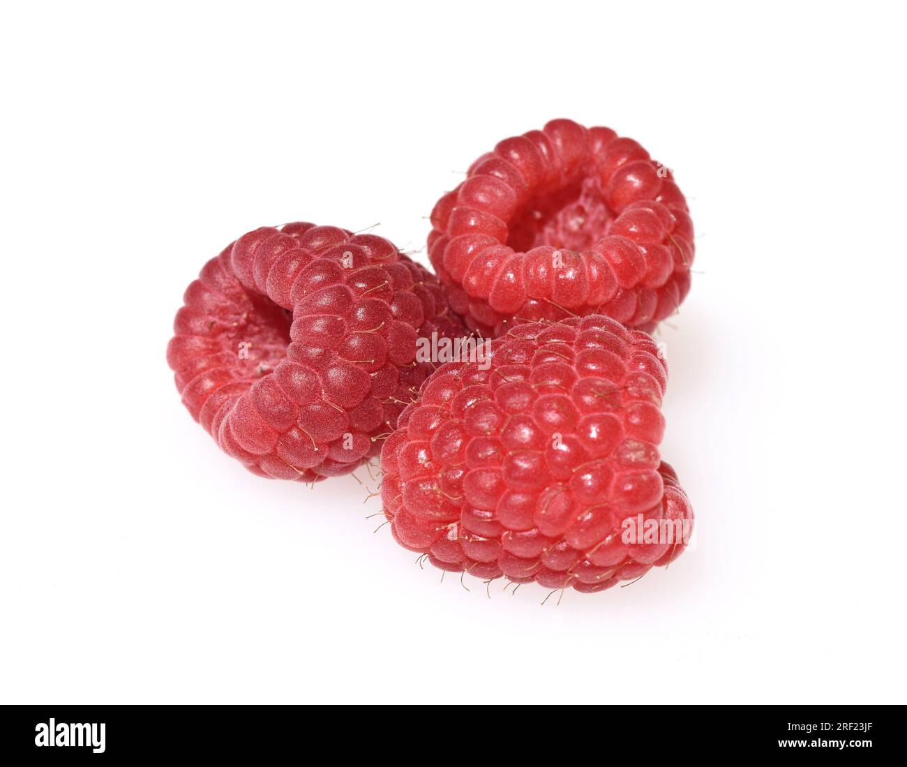 Raspberries, Rubus idaeus, is a tasty berry plant with red berries ...