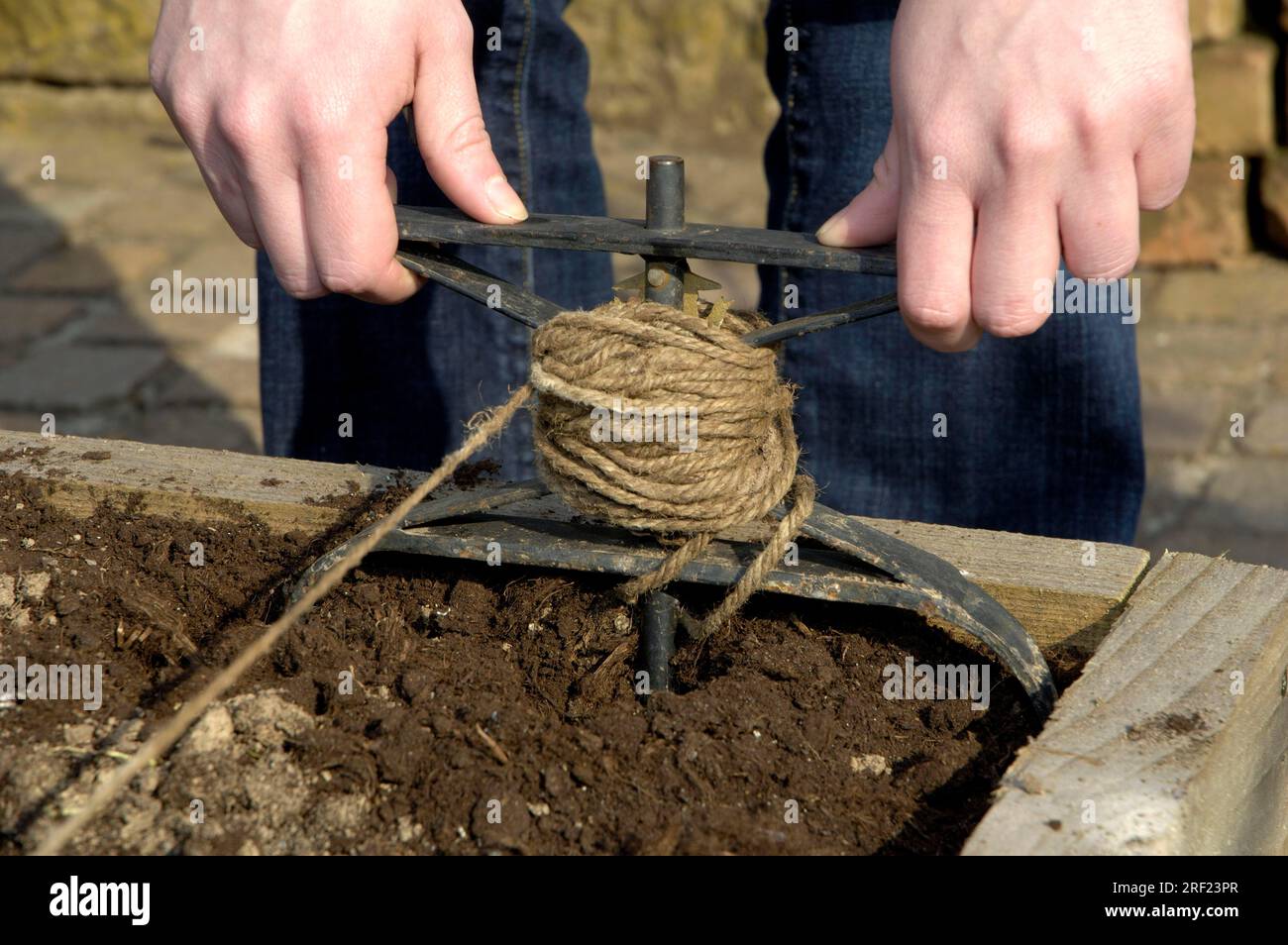 Preparation of vegetable patch, string is stretched Stock Photo - Alamy