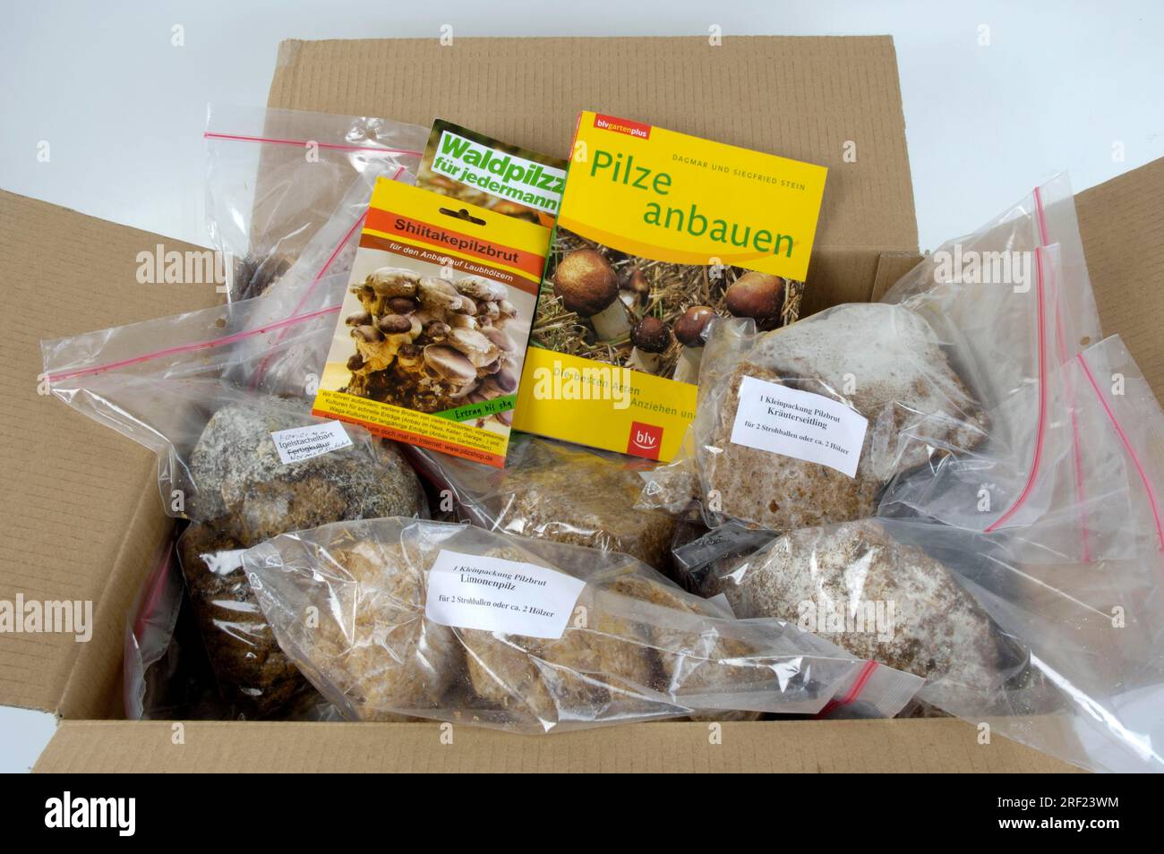 Mushroom cultivation, cardboard with different kinds of mushroom ...