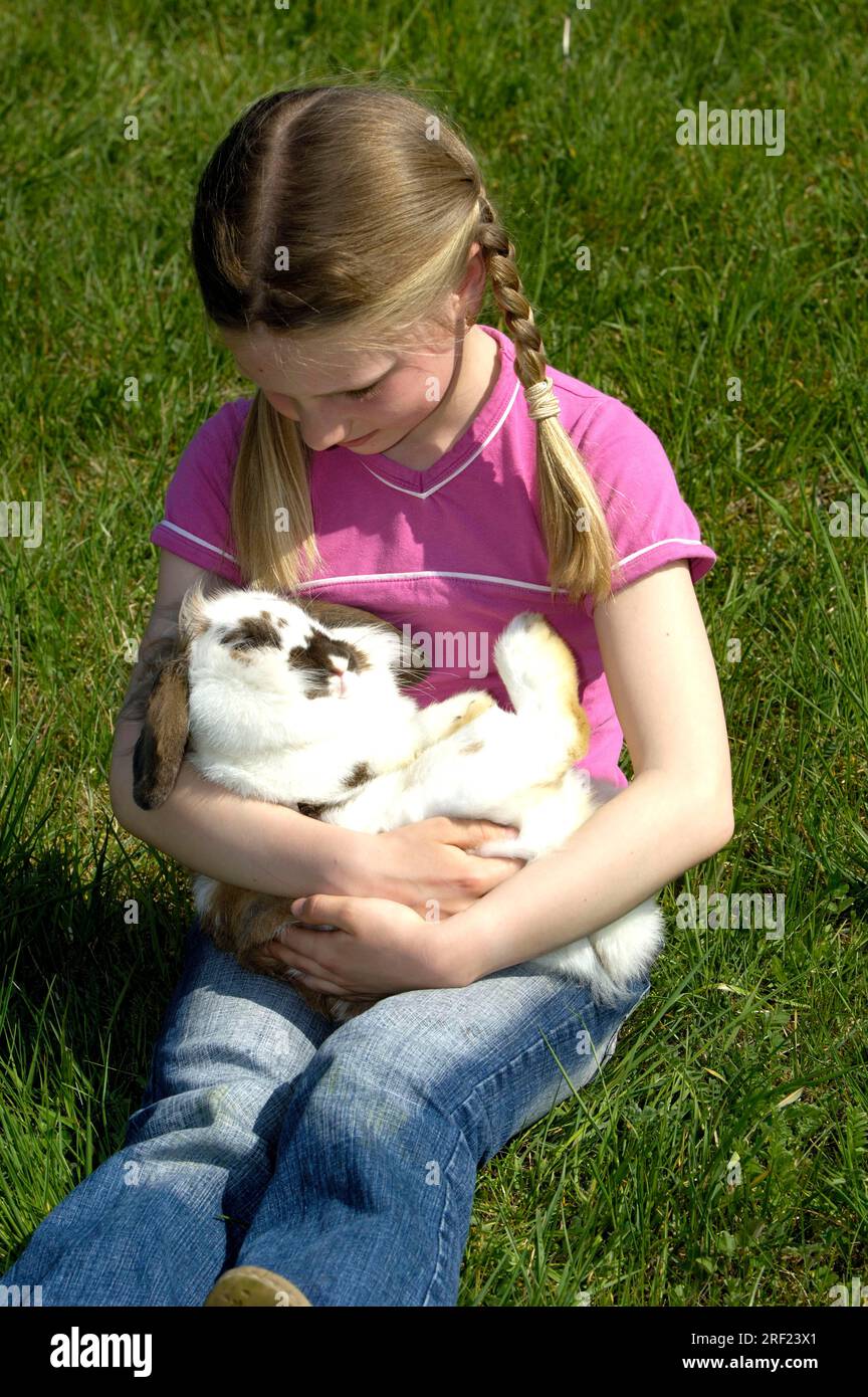 Girl with dwarf rabbits, ram rabbits, house rabbits Stock Photo - Alamy