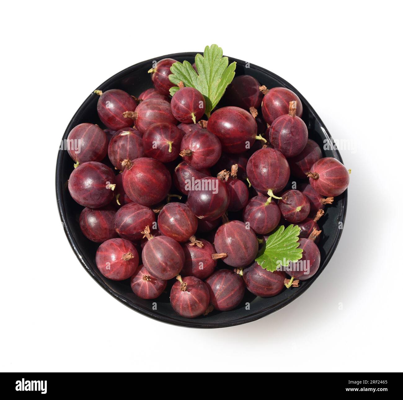 Gooseberry, Ribes, uva-crispa, is a tasty berry plant with green, brown ...